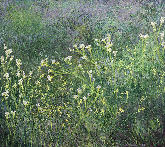 June Tupicoff – Australian Galleries