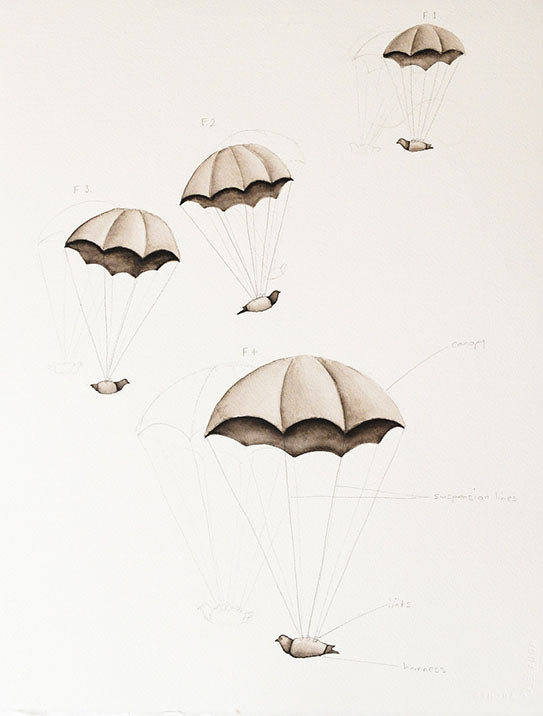 Diagram for pigeon drop 2012 – Australian Galleries