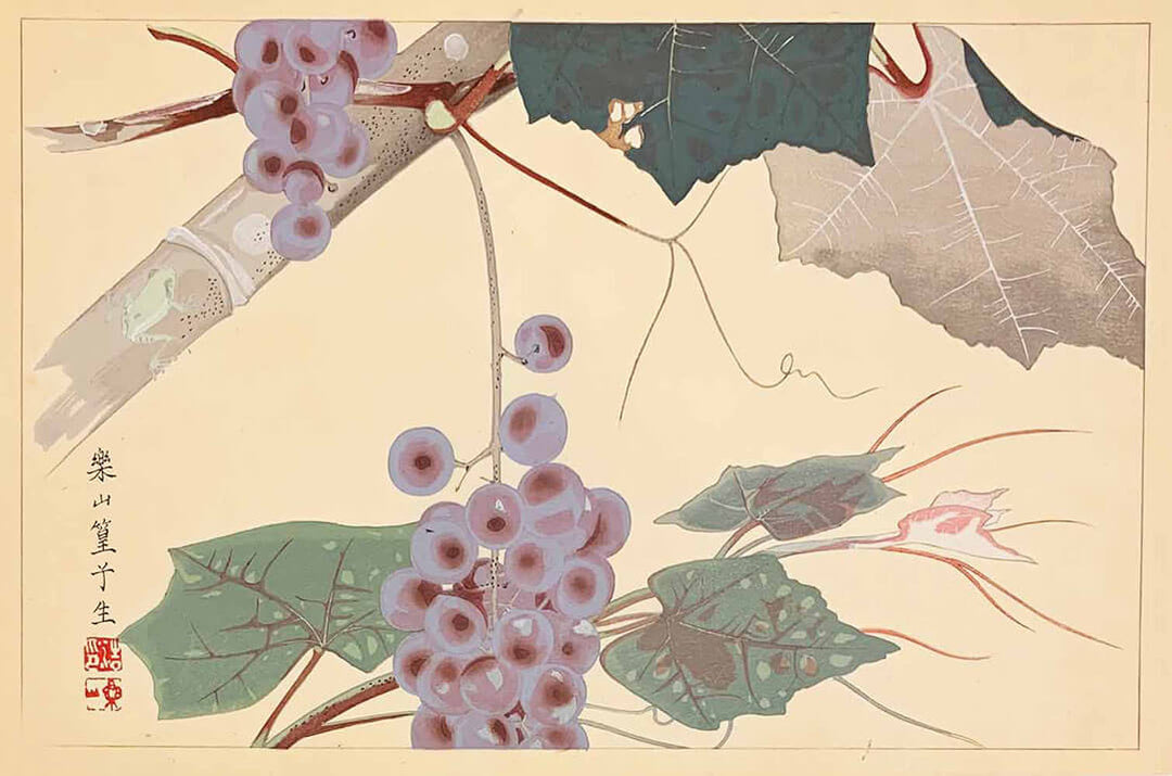 TSUCHIYA RAKUSAN (1896 – 1976) Grapes 1934-41 – Australian Galleries
