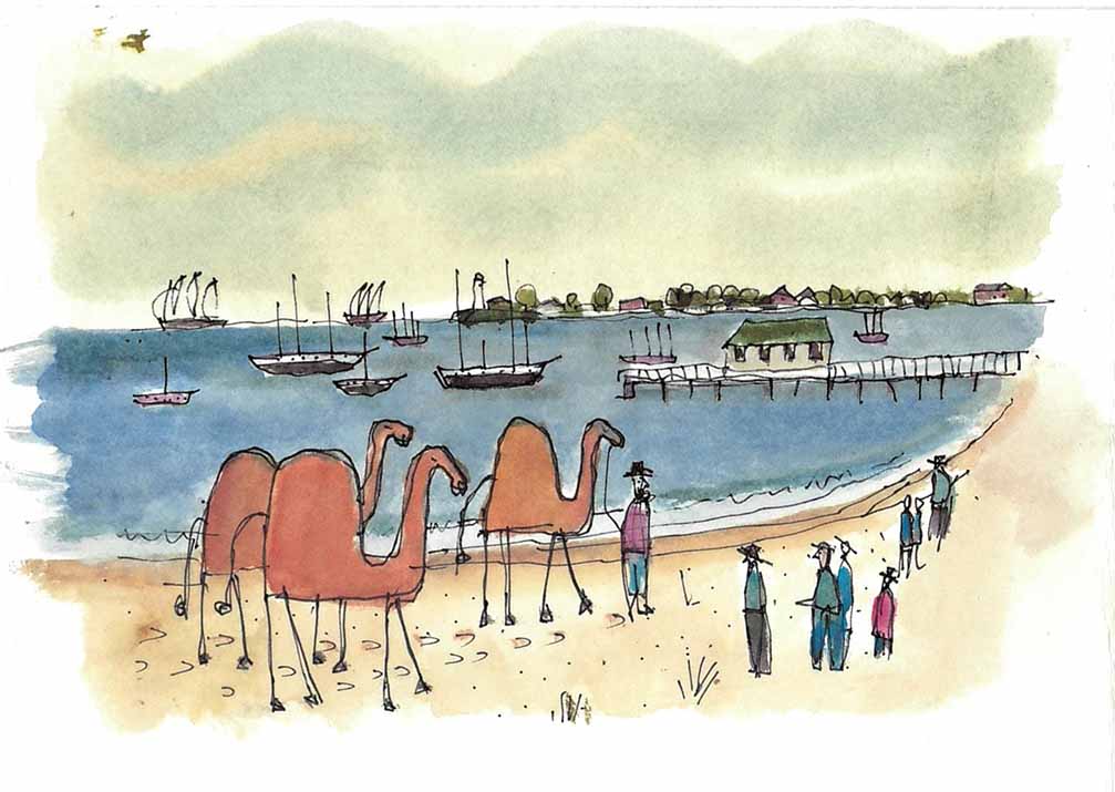 30 camels arriving at South Melbourne beach 2026 – Australian Galleries