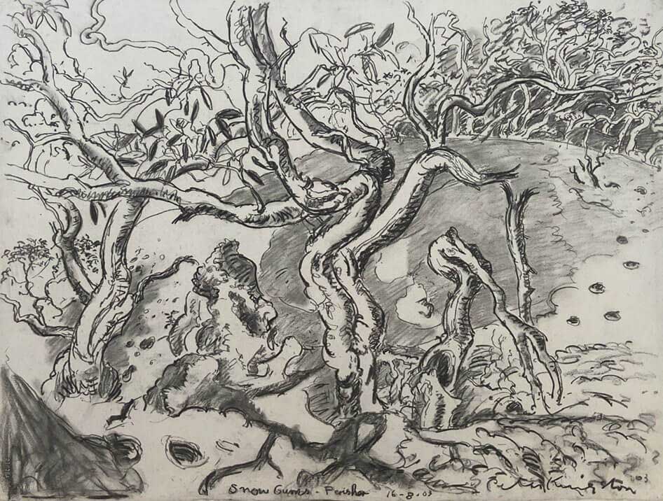 Snow Gums - Perisher 2003 – Australian Galleries