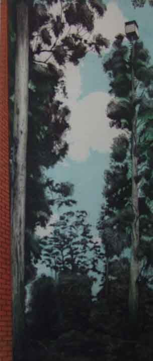 Back burn 2002 – Australian Galleries