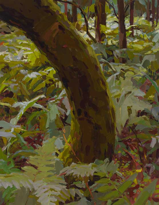 Mary Tonkin – Australian Galleries
